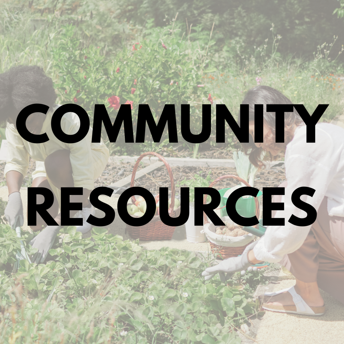 Flood Recovery & Resiliency Resources | A Great Place to Live & Do ...