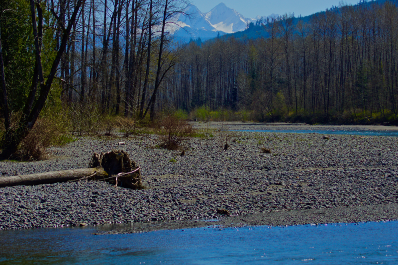 Flood Recovery & Resiliency Resources | A Great Place to Live & Do ...